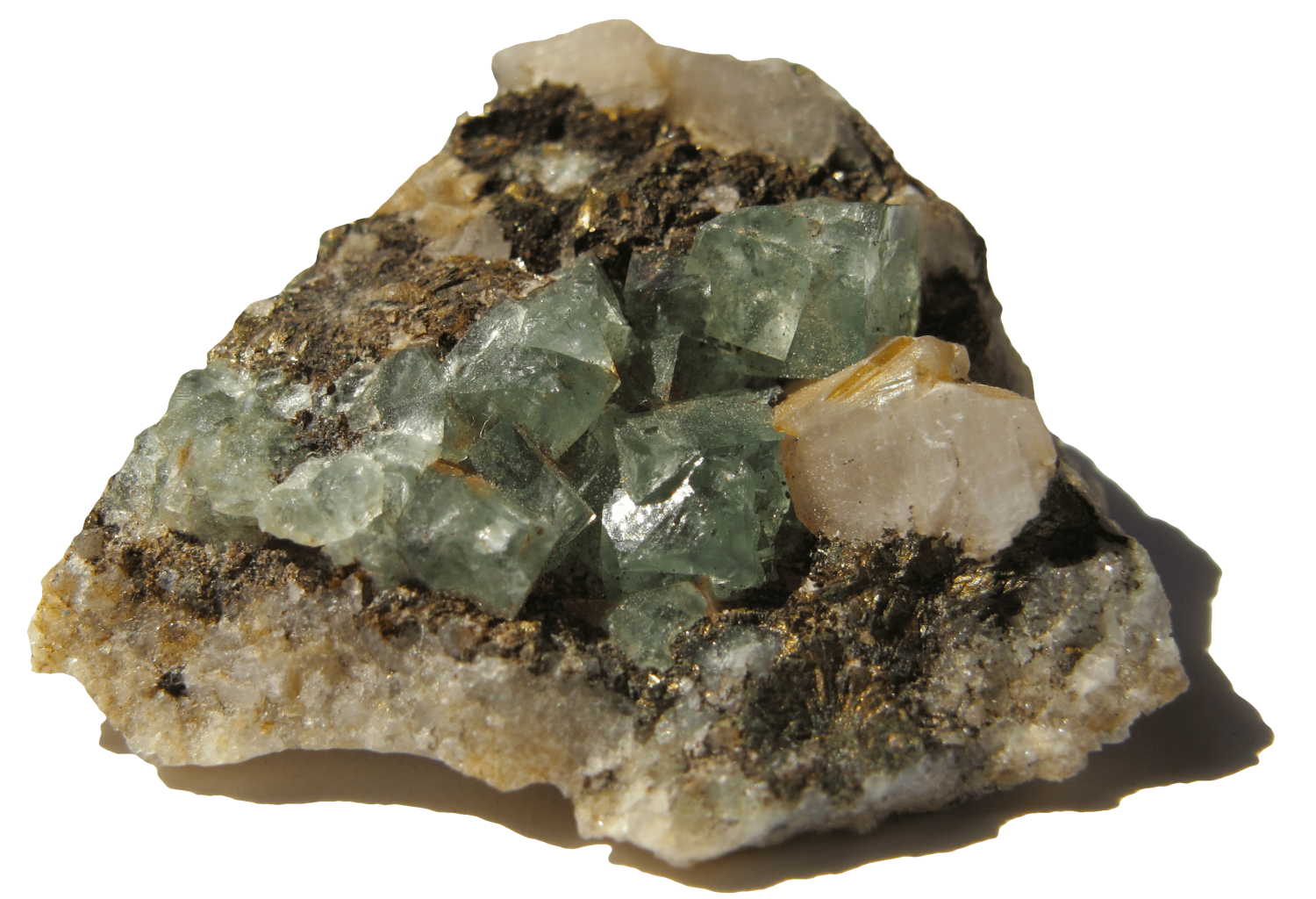 Calcium (Ca) - ARDEVUR Commodities